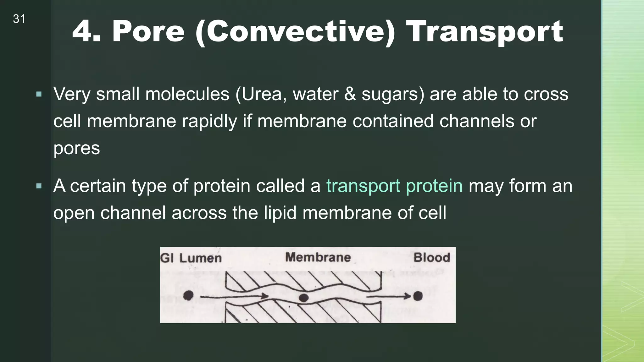 Basic Mechanisms of Membrane Transport | PPTX