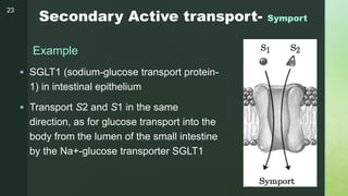 Basic Mechanisms of Membrane Transport | PPTX
