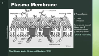 Basic Mechanisms of Membrane Transport | PPTX