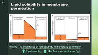 Basic Mechanisms of Membrane Transport | PPTX