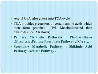 Basic metabolic pathway : Introduction | PPTX