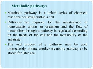 Basic metabolic pathway : Introduction | PPTX