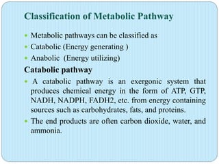 Basic metabolic pathway : Introduction | PPTX