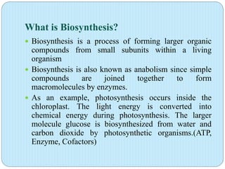 Basic metabolic pathway : Introduction | PPTX