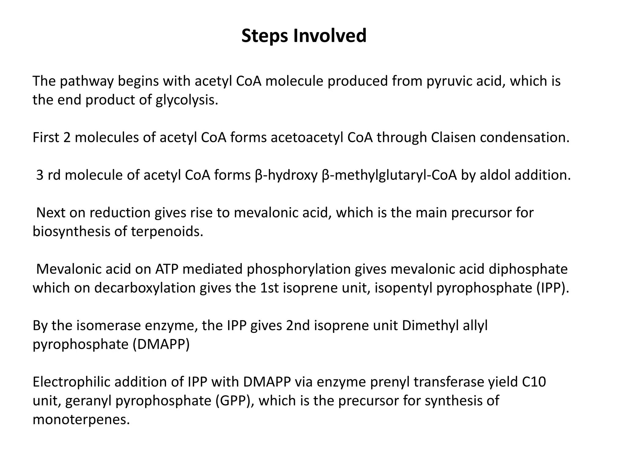 Basic metabolic pathways.pptx