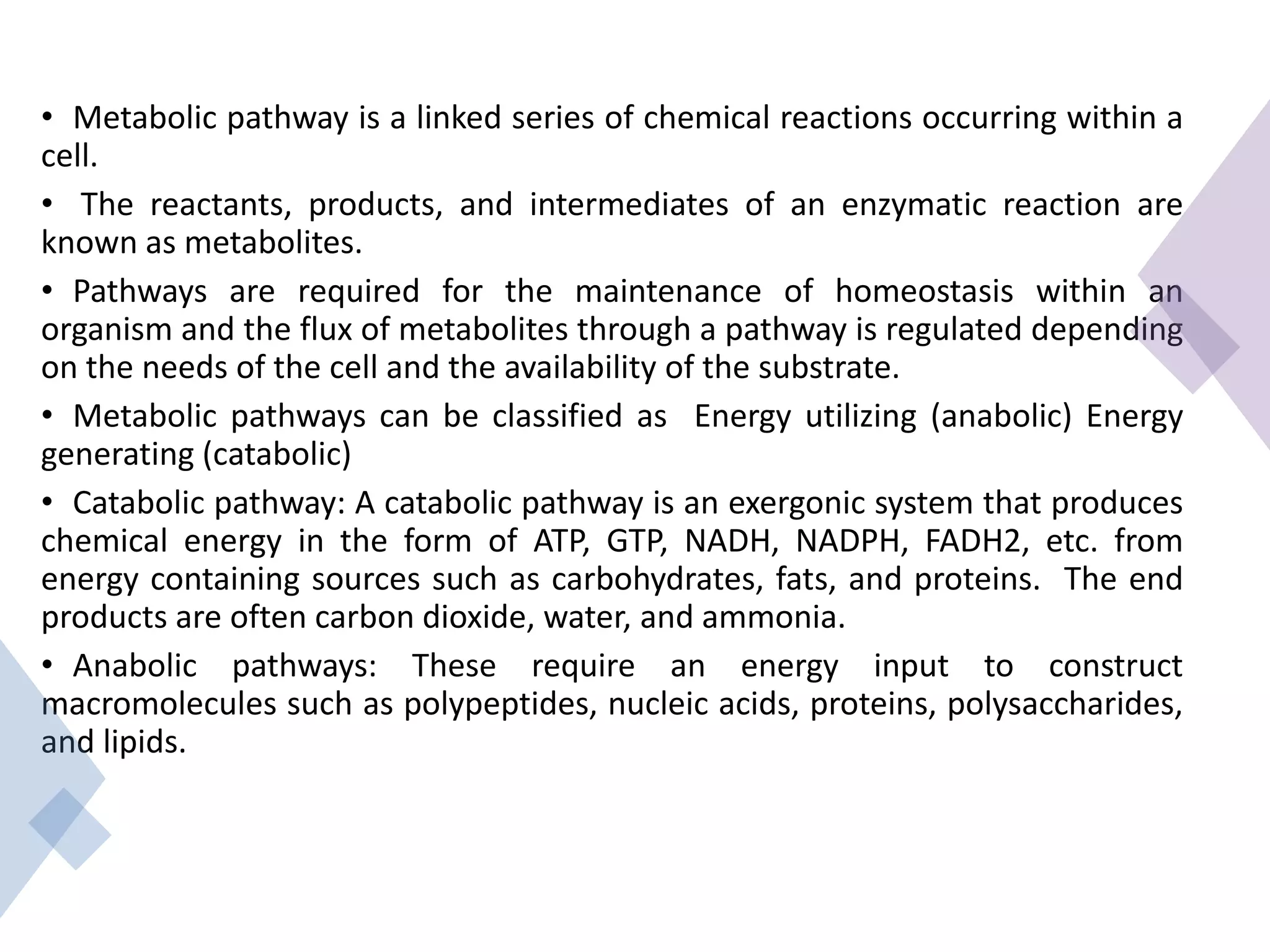 Basic metabolic pathways.pptx