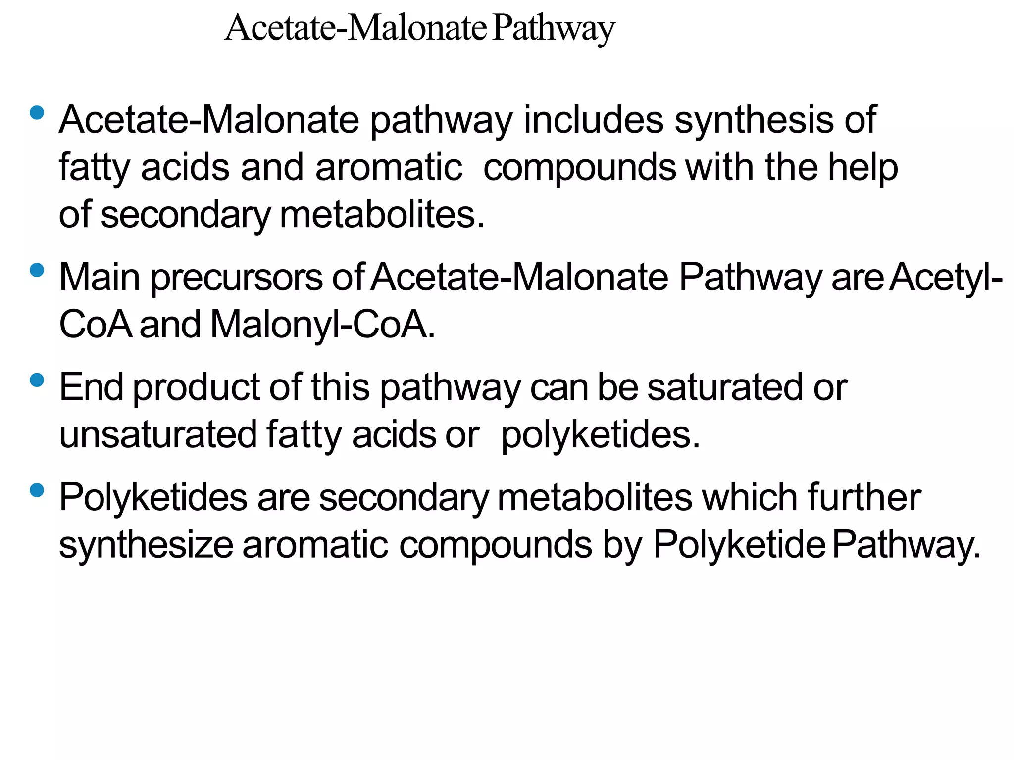 Basic metabolic pathways.pptx