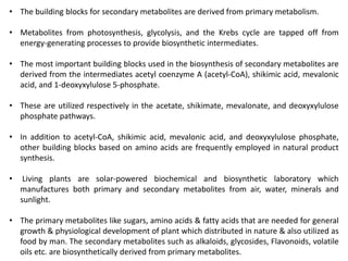 Basic metabolic pathways.pptx