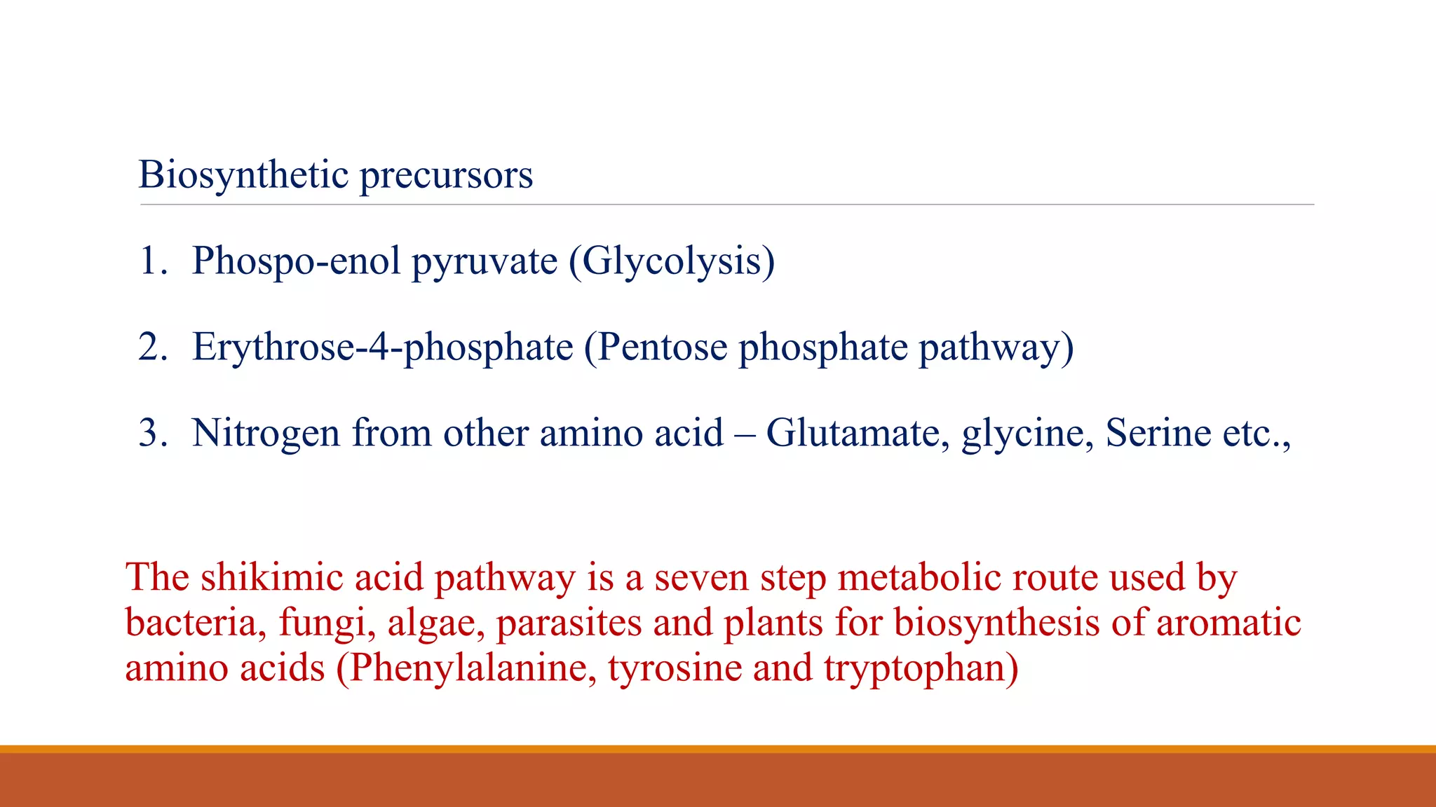 Basic metabolic pathways i | PPTX