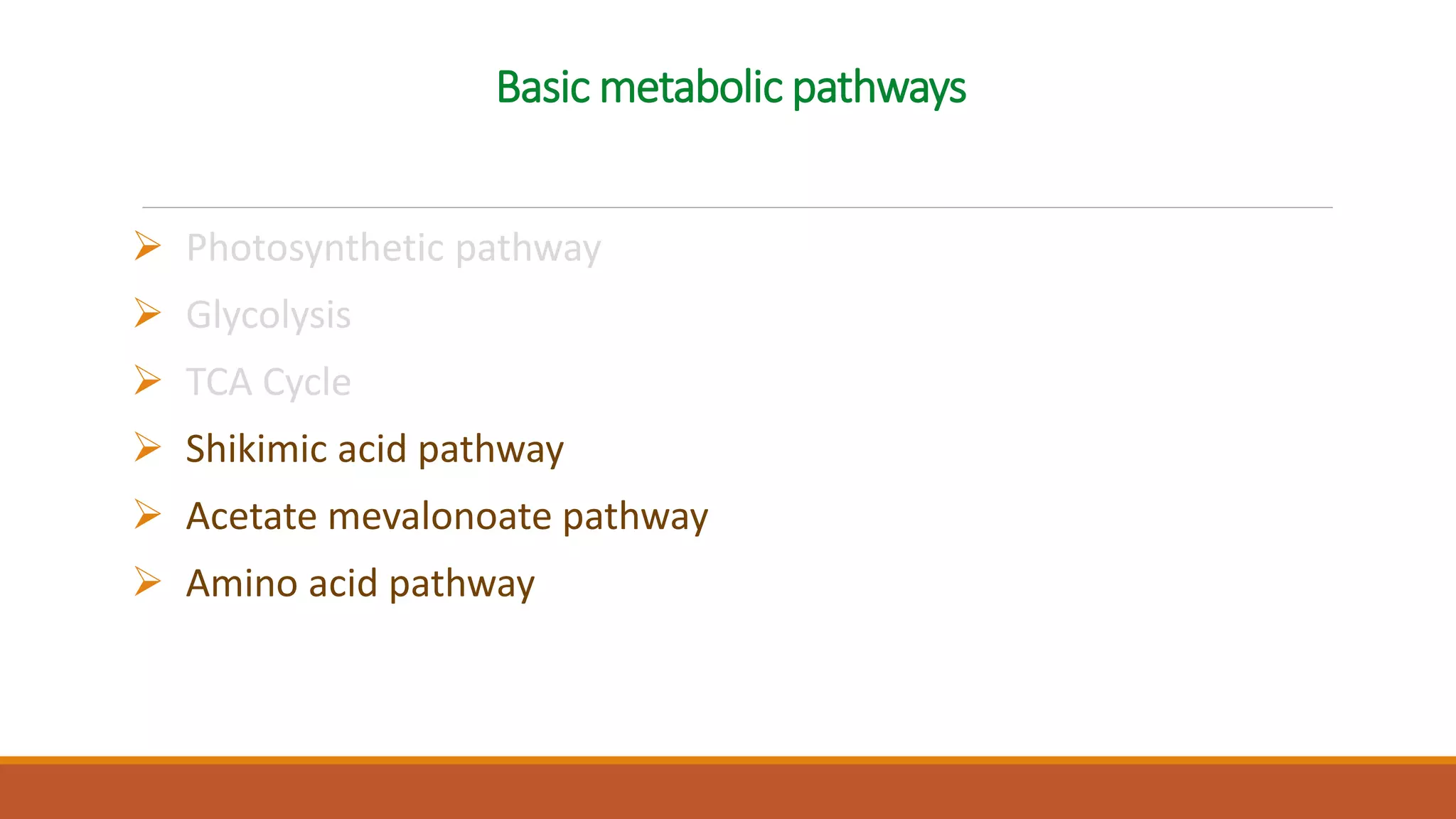 Basic metabolic pathways i | PPTX