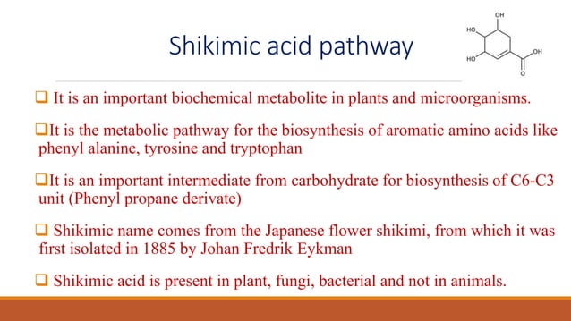 Basic metabolic pathways i | PPT