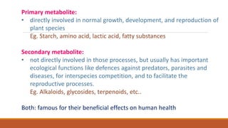 Basic metabolic pathways i | PPTX