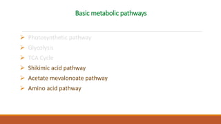 Basic metabolic pathways i | PPTX