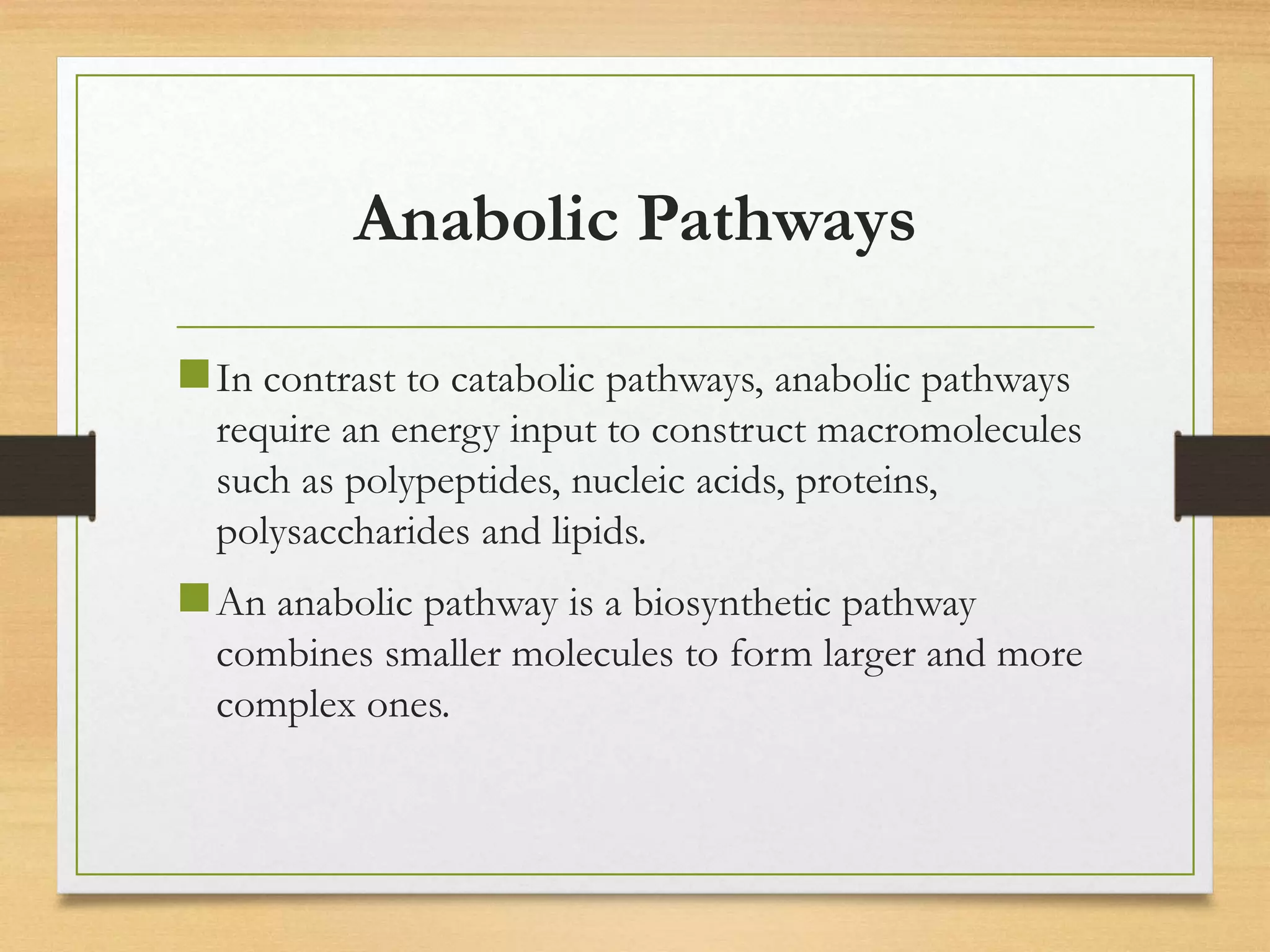 Basic Metabolic Pathways and origin of secondary metabolites.pptx