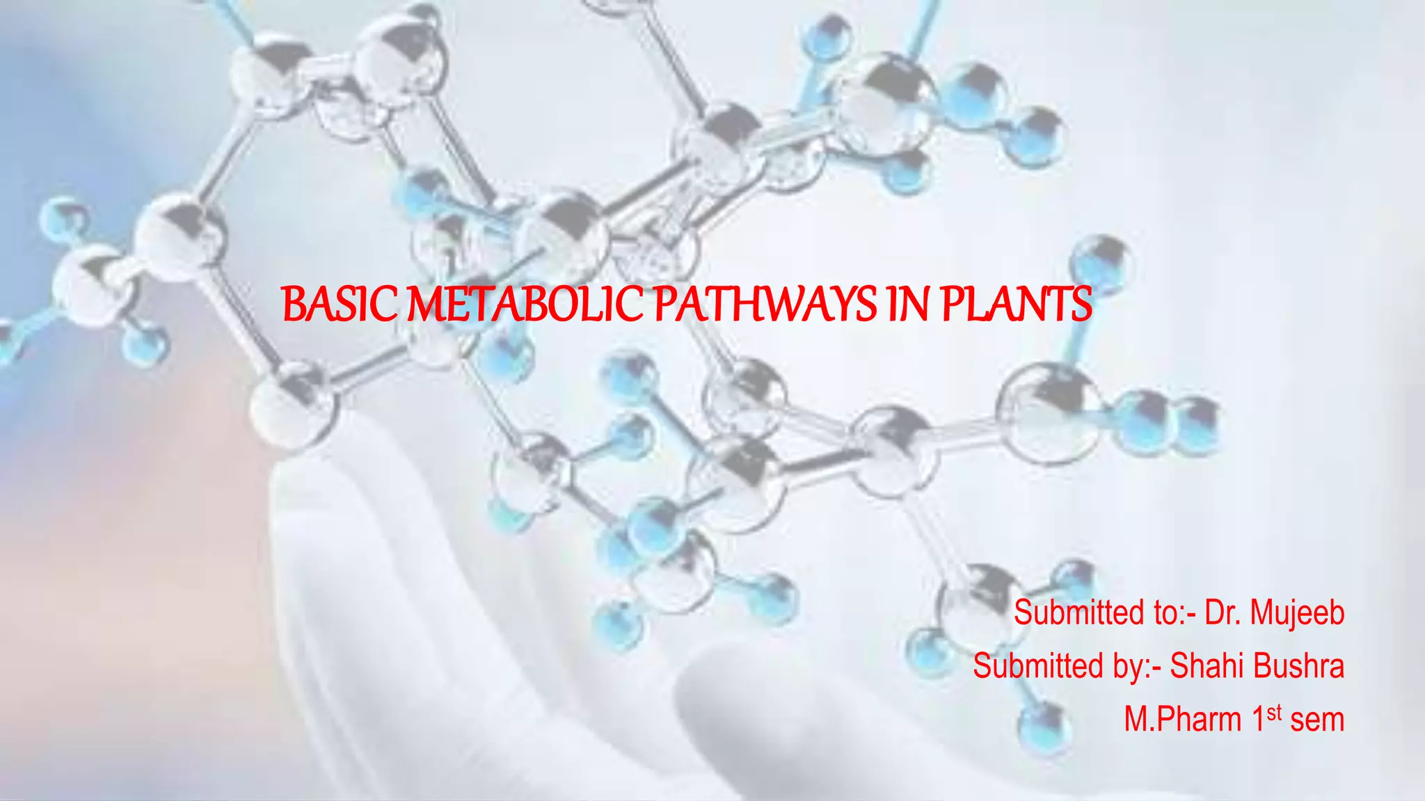 Basic metabolic pathways in plants | PPTX | Endocrine and Metabolic Diseases | Diseases and ...