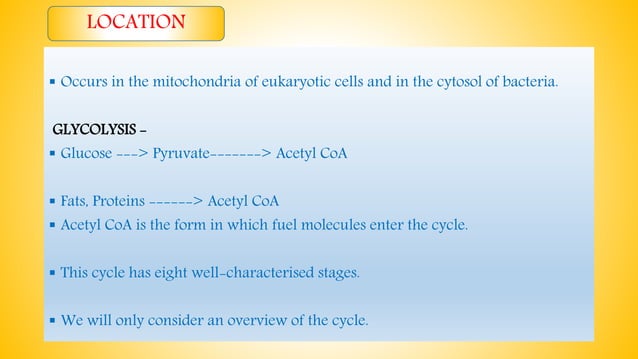 Basic metabolic pathways in plants | PPTX | Endocrine and Metabolic Diseases | Diseases and ...