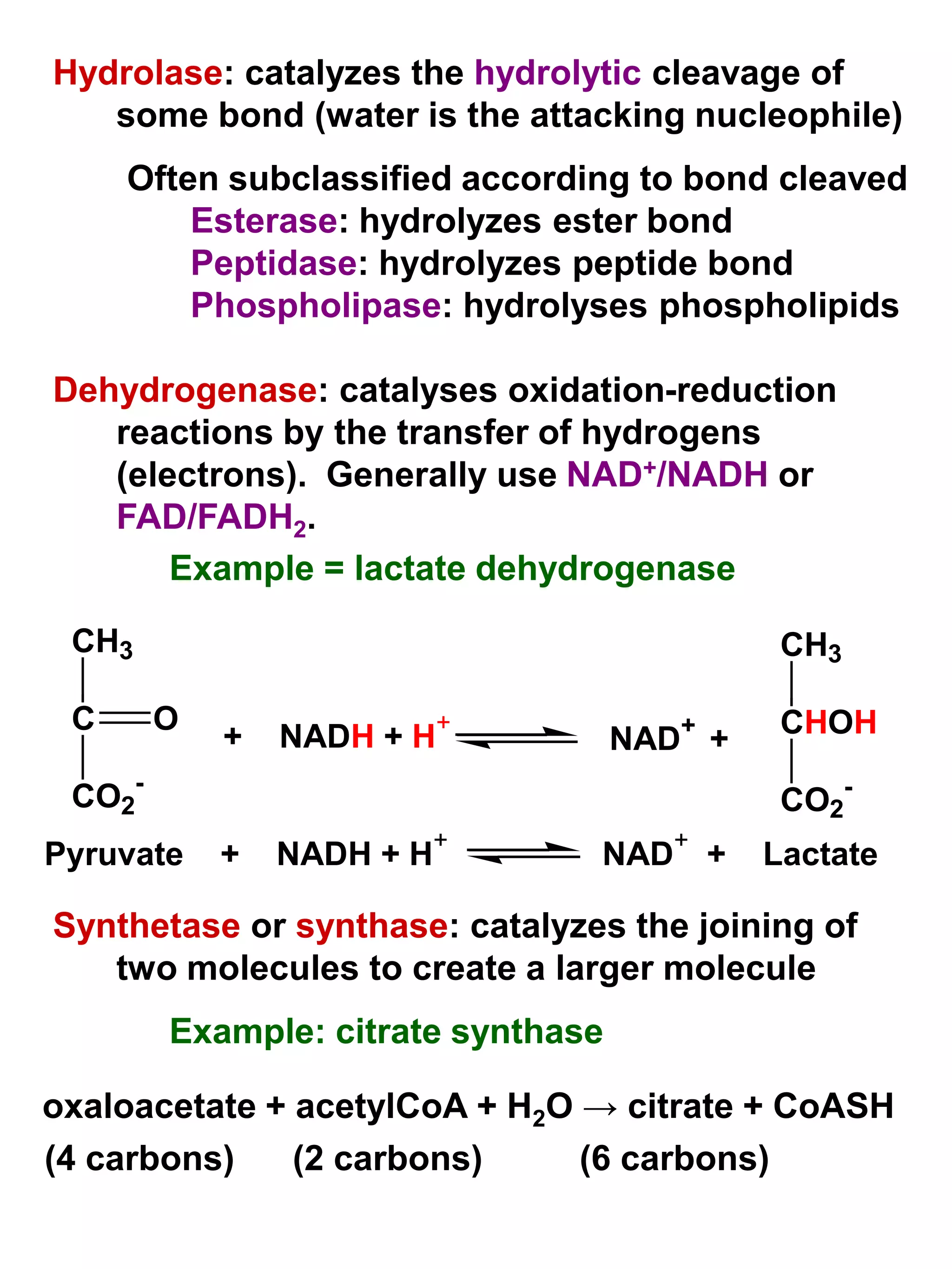 Basic metabolic principles | PPT