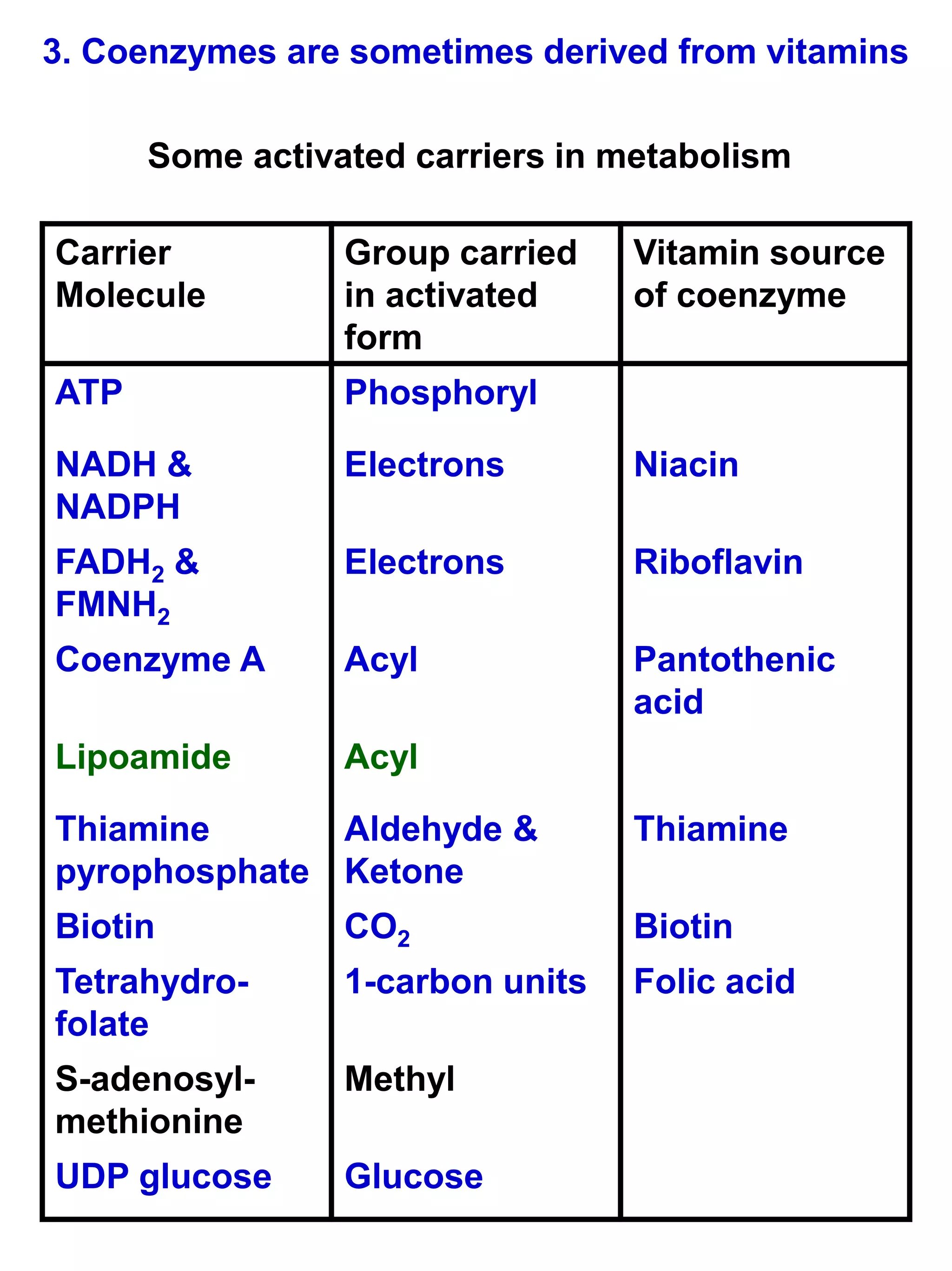 Basic metabolic principles | PPT