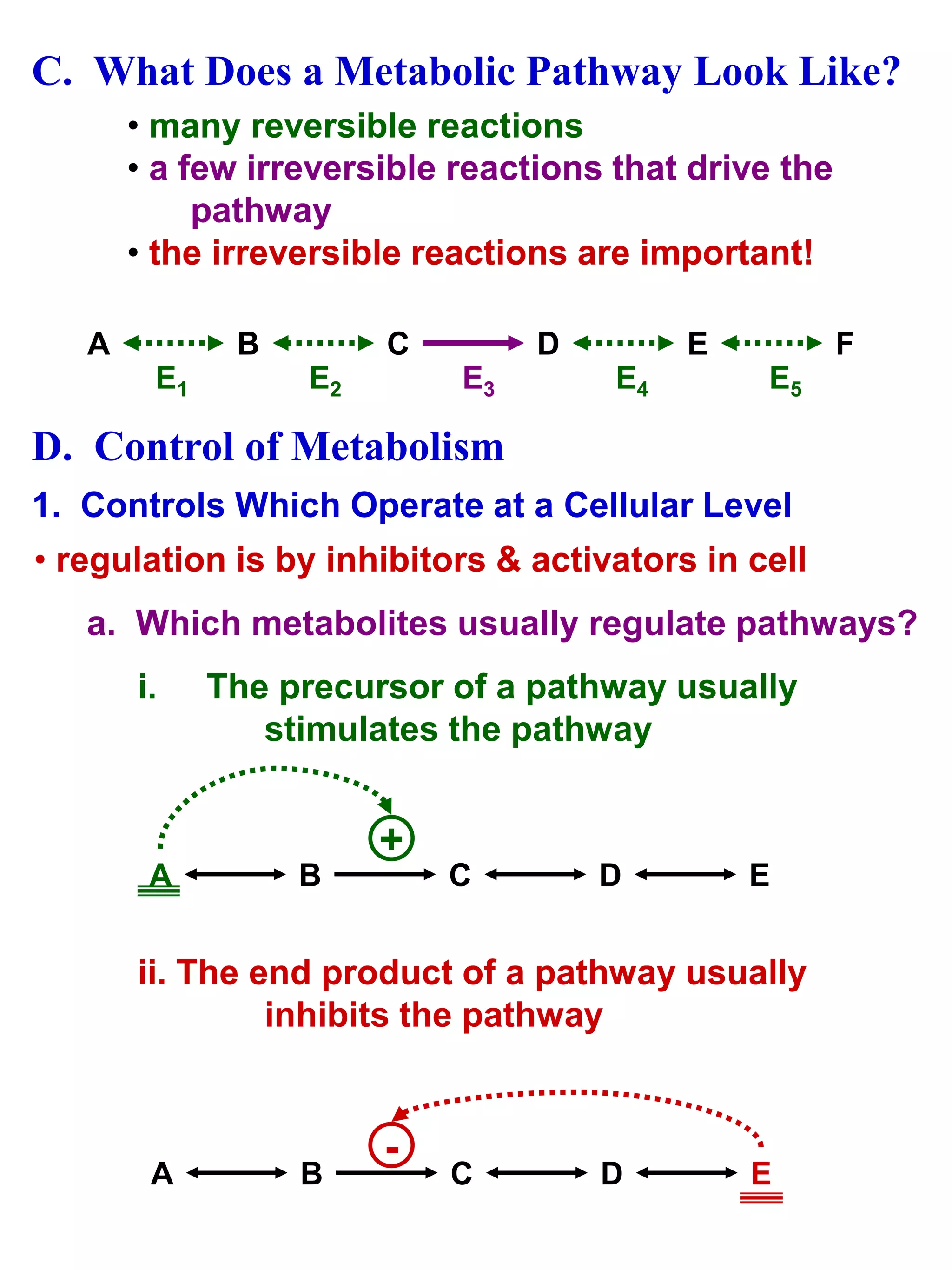 Basic metabolic principles | PPT