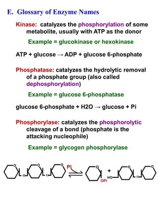 Basic metabolic principles | PPT