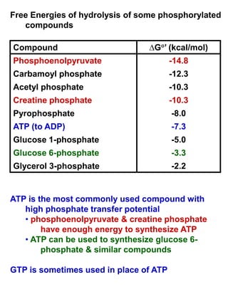 Basic metabolic principles | PPT