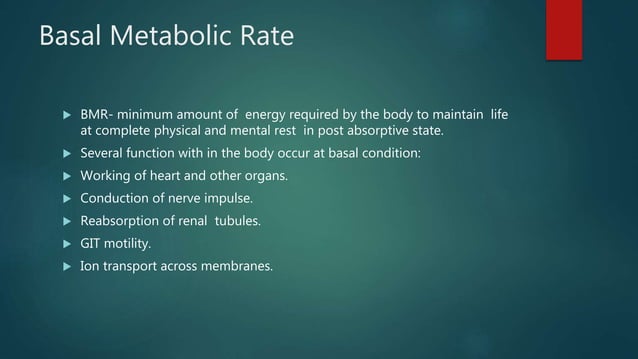 Basic metabolic rate | PPTX | Endocrine and Metabolic Diseases | Diseases and Conditions