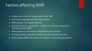 Basic metabolic rate | PPTX | Endocrine and Metabolic Diseases ...