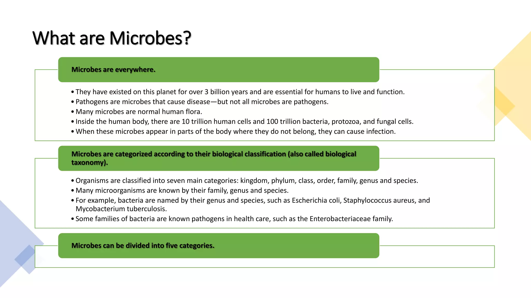 Basic Microbiology. | PPTX