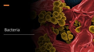 Basic Microbiology. | PPTX