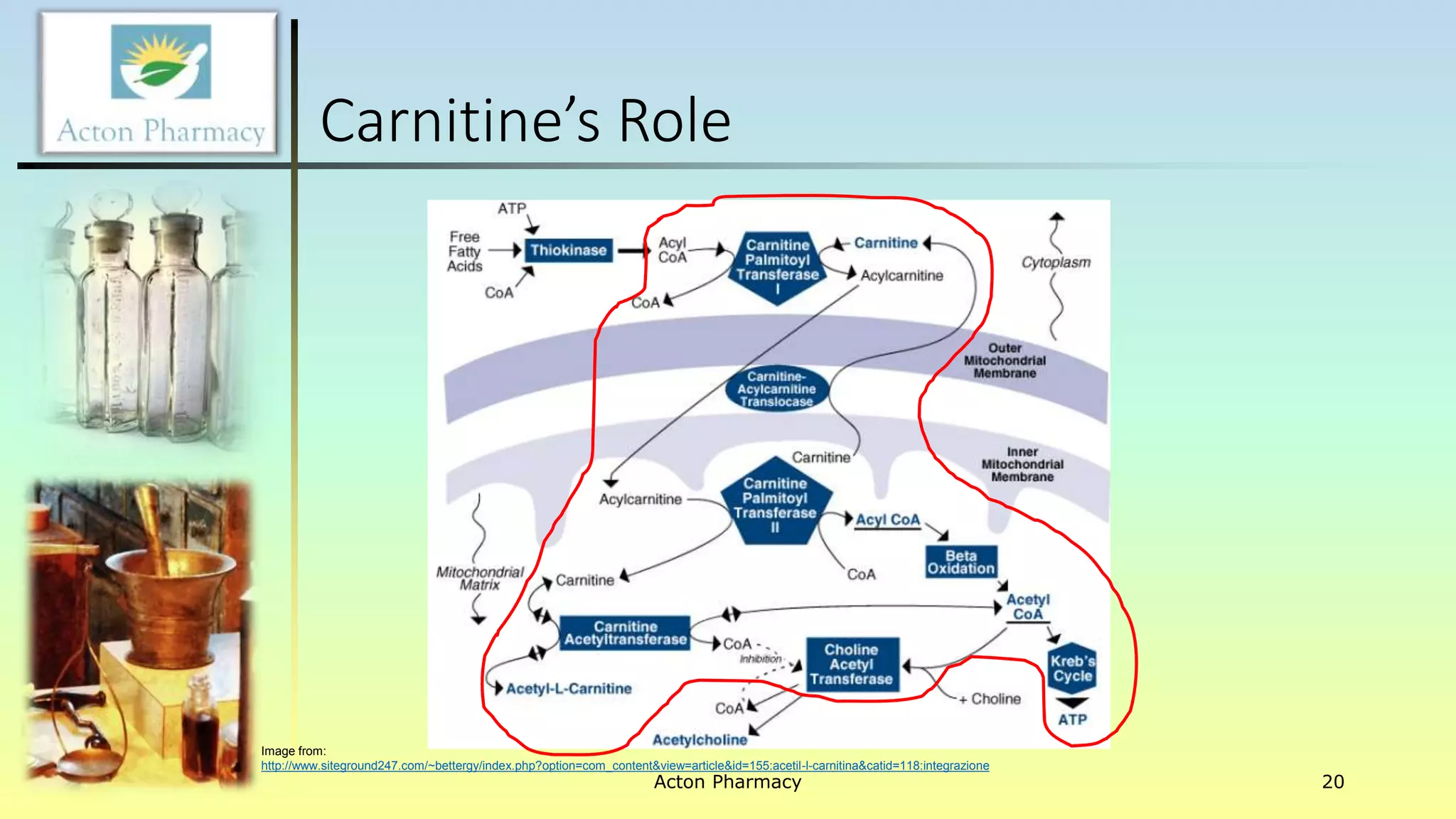 Basic mitochondrial disease & supplementation | PPT