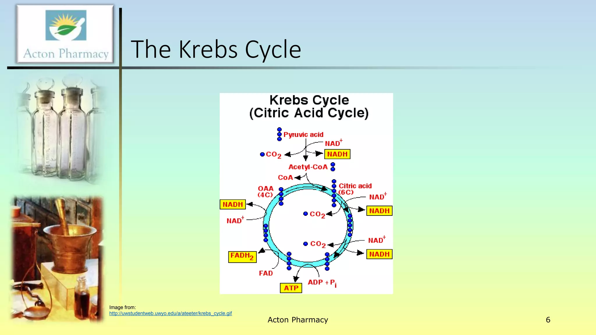 Basic mitochondrial disease & supplementation | PPT