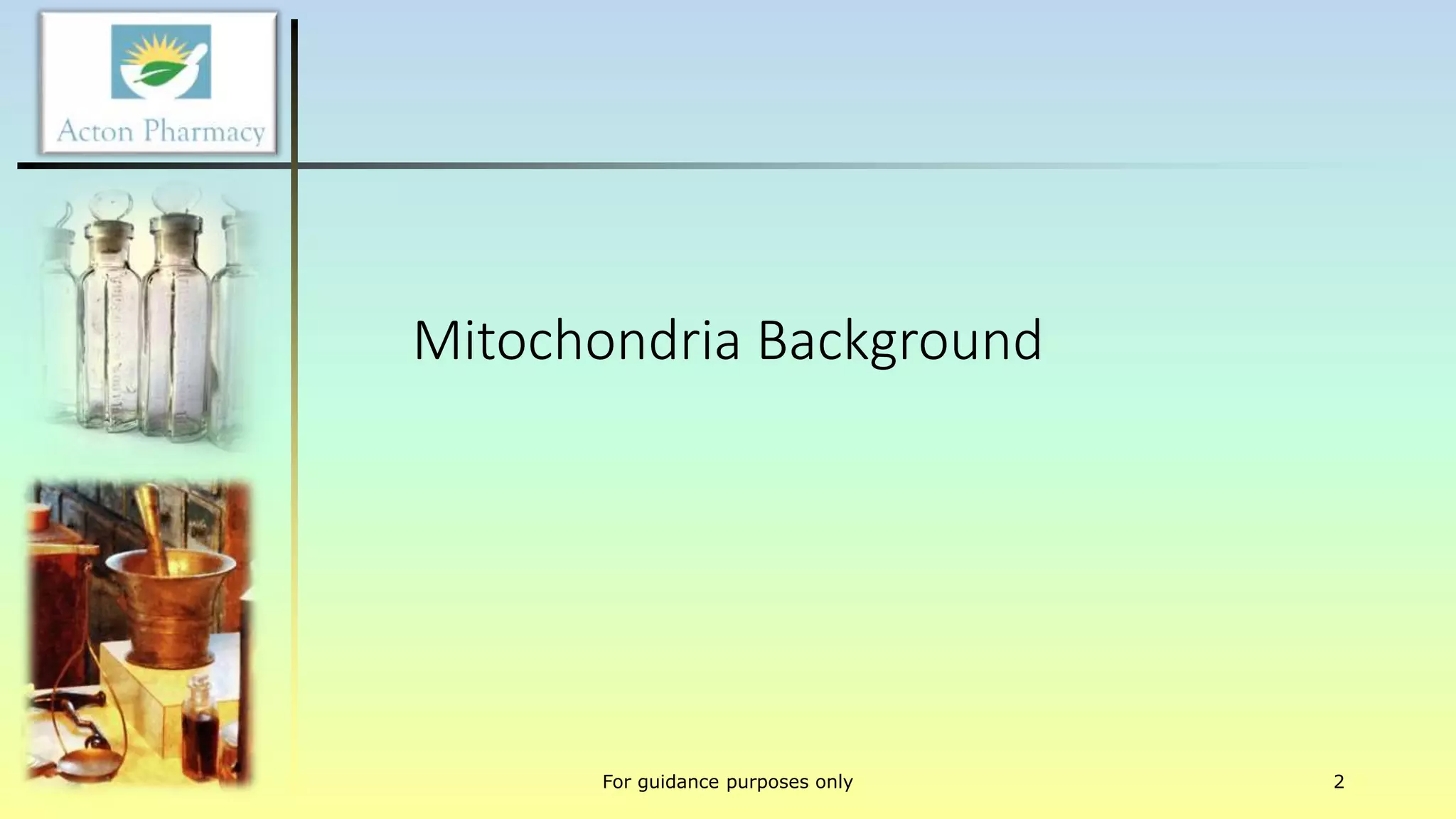 Mito Cocktail final | PPTX