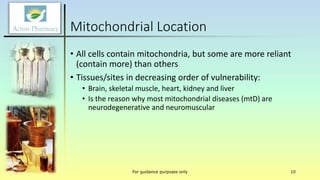 Mito Cocktail final | PPTX