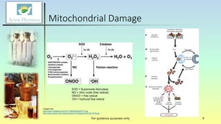 Mito Cocktail final | PPT