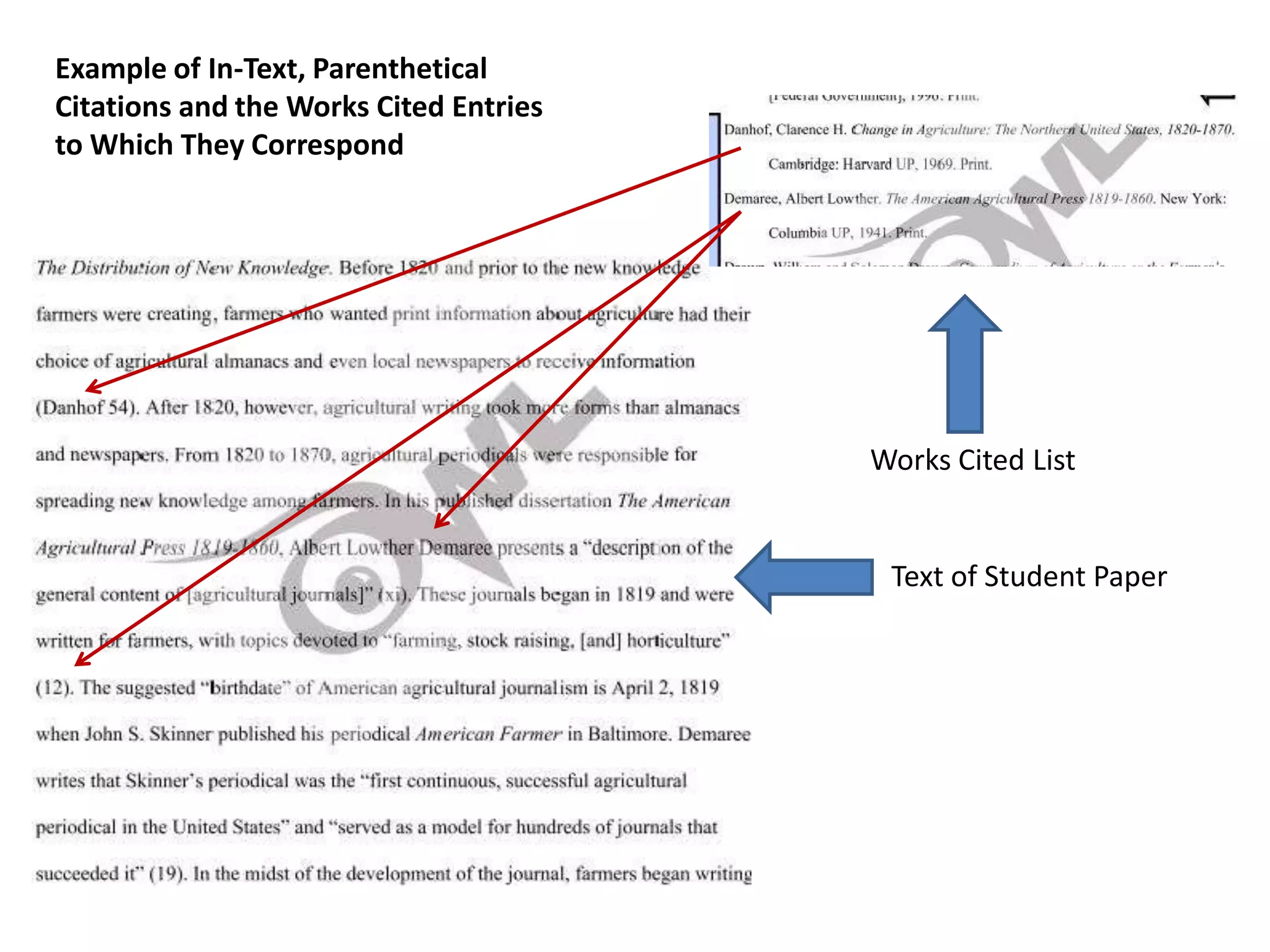 Basic mla citation review | PPTX | Drama | Genres