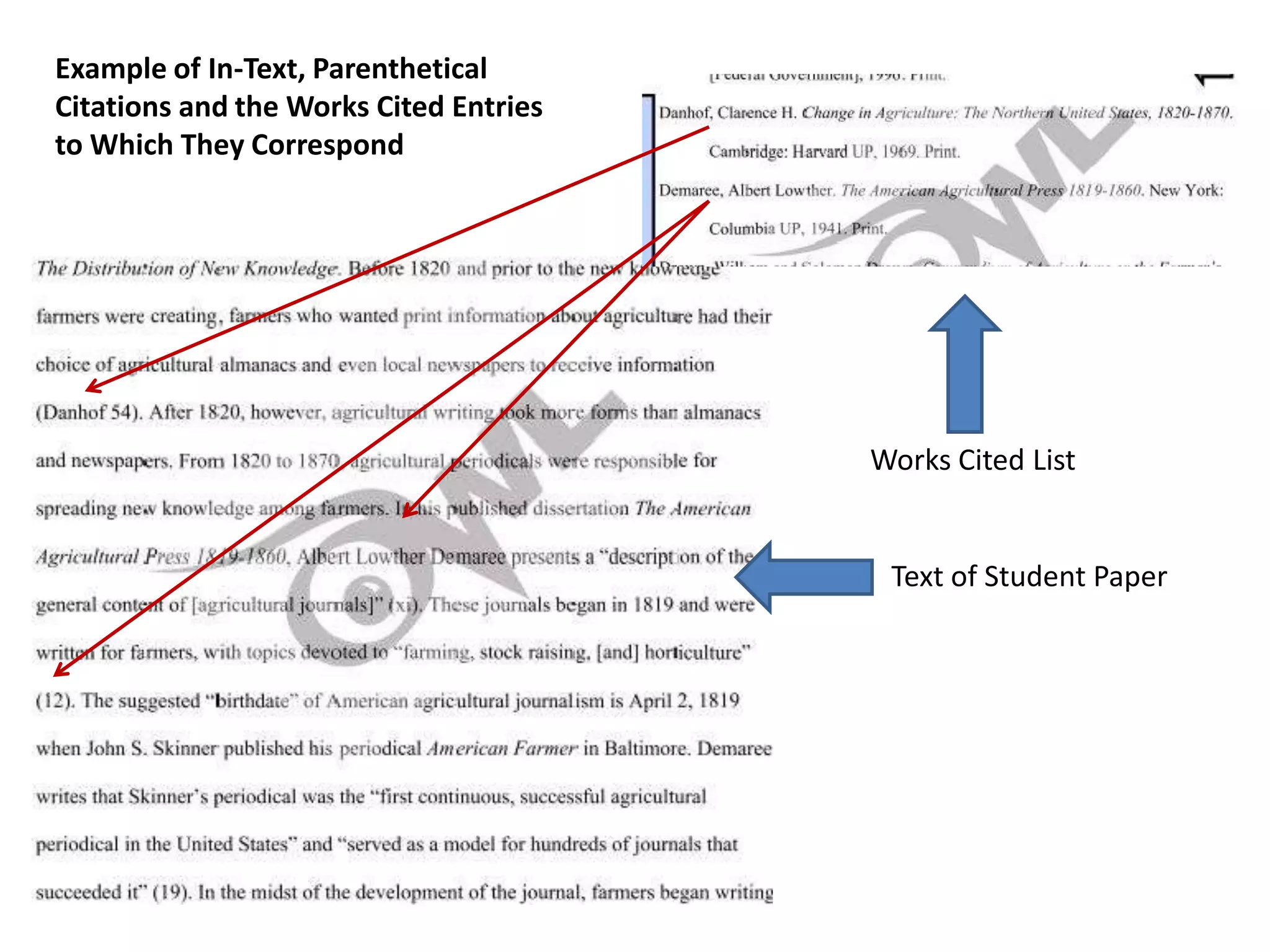 Basic mla citation review eng307 | PPTX