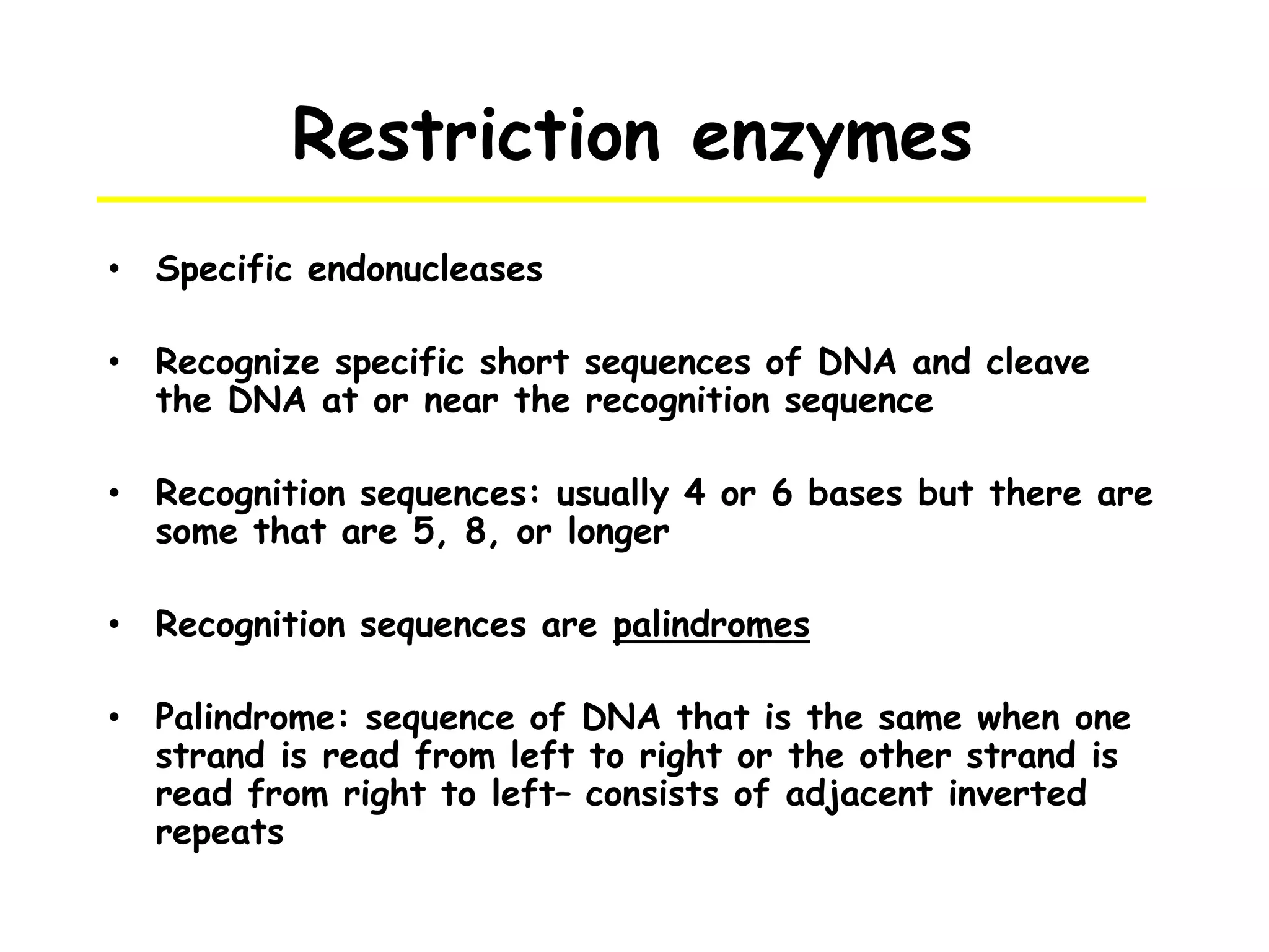 basic molecular biology techniques.ppt