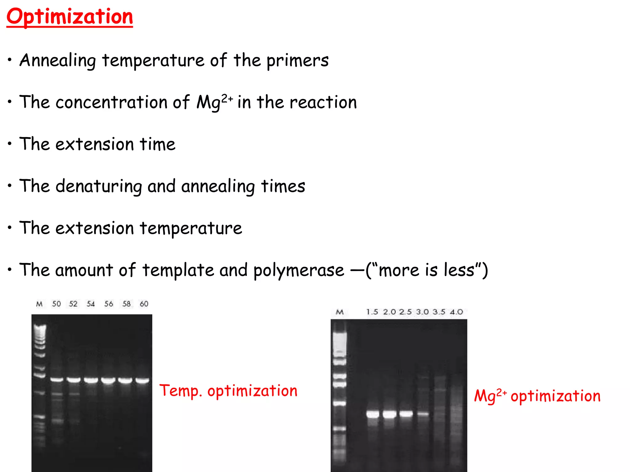 basic molecular biology techniques.ppt
