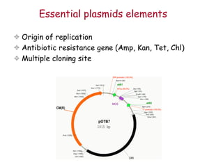 basic molecular biology techniques.ppt