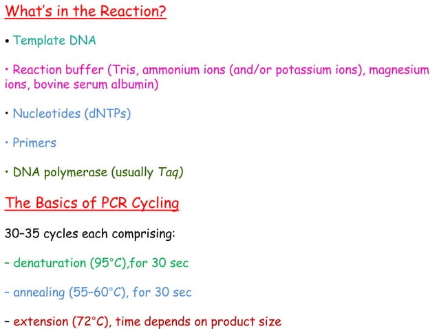 basic molecular biology techniques.ppt
