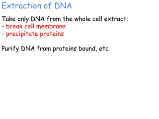 basic molecular biology techniques.ppt