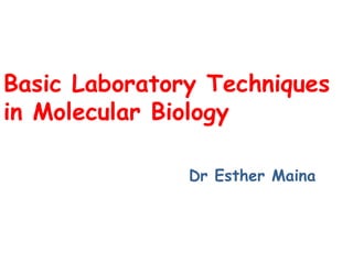 basic molecular biology techniques.ppt
