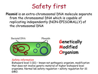 basic molecular biology techniques.ppt