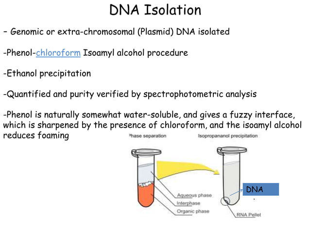 basic molecular biology techniques.ppt