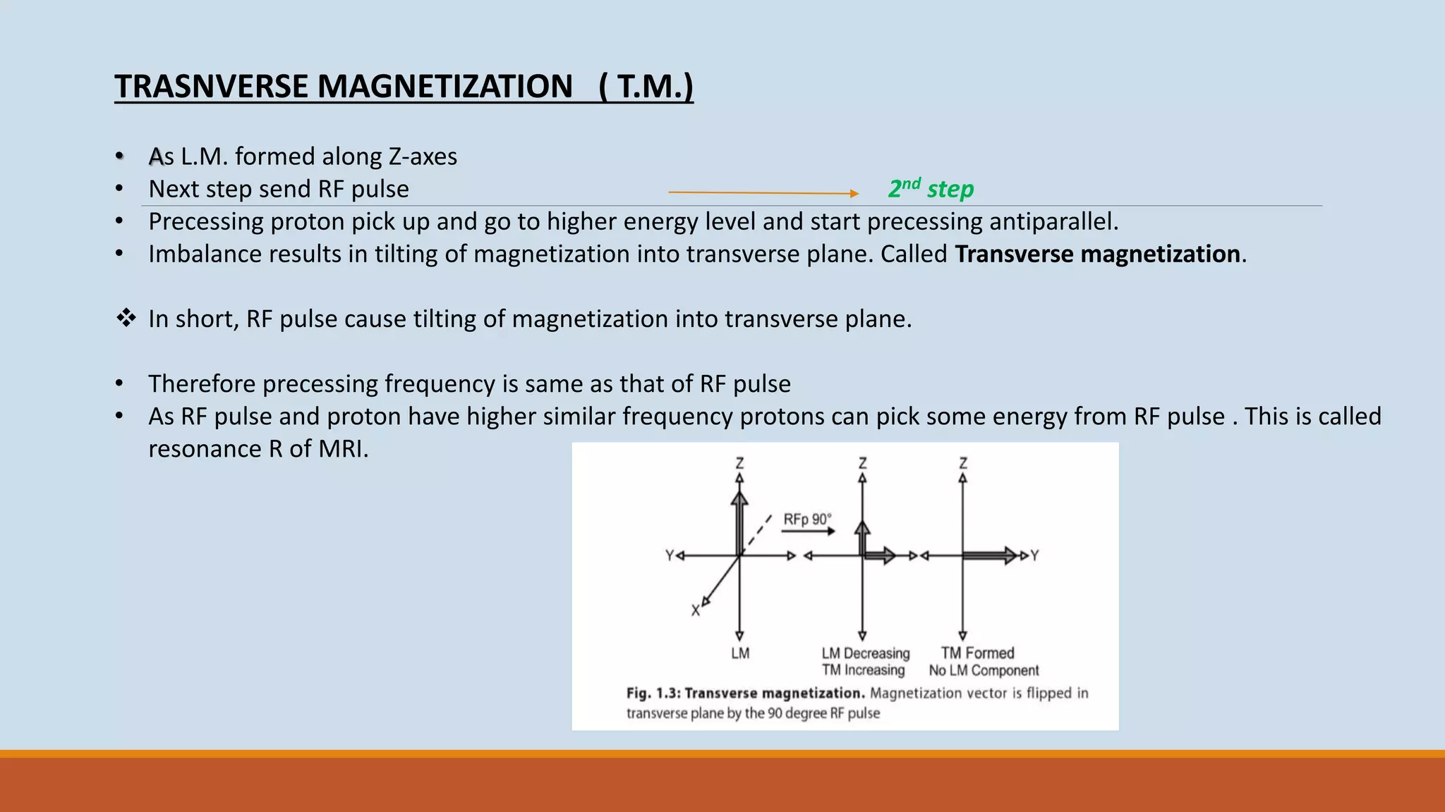 BASIC MRI.pptx