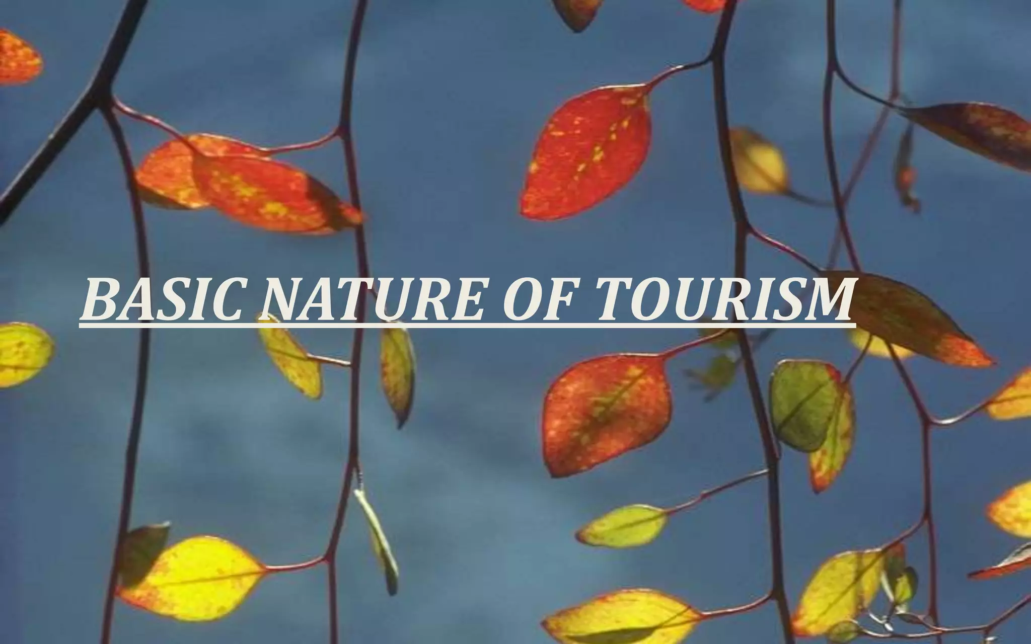 Basic nature of tourism | PPTX