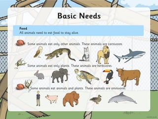 Basic needs lesson presentation | PDF