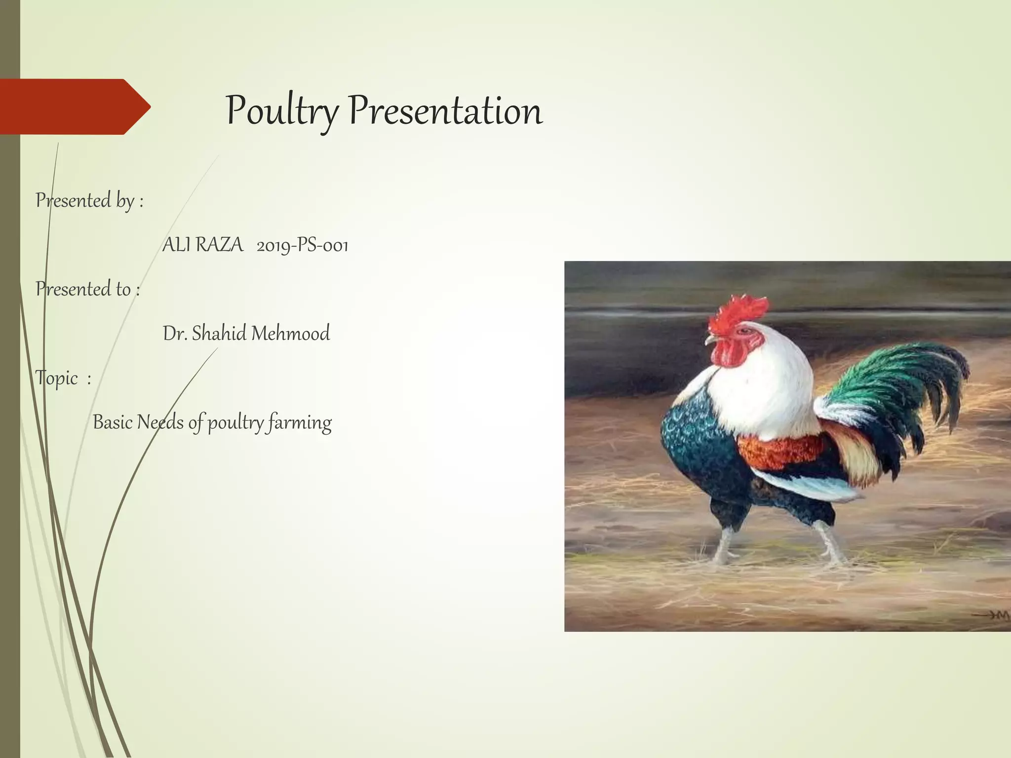 Basic needs of poultry farming | PPTX