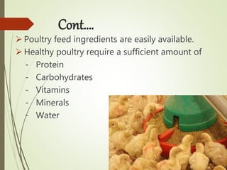 Basic needs of poultry farming | PPTX