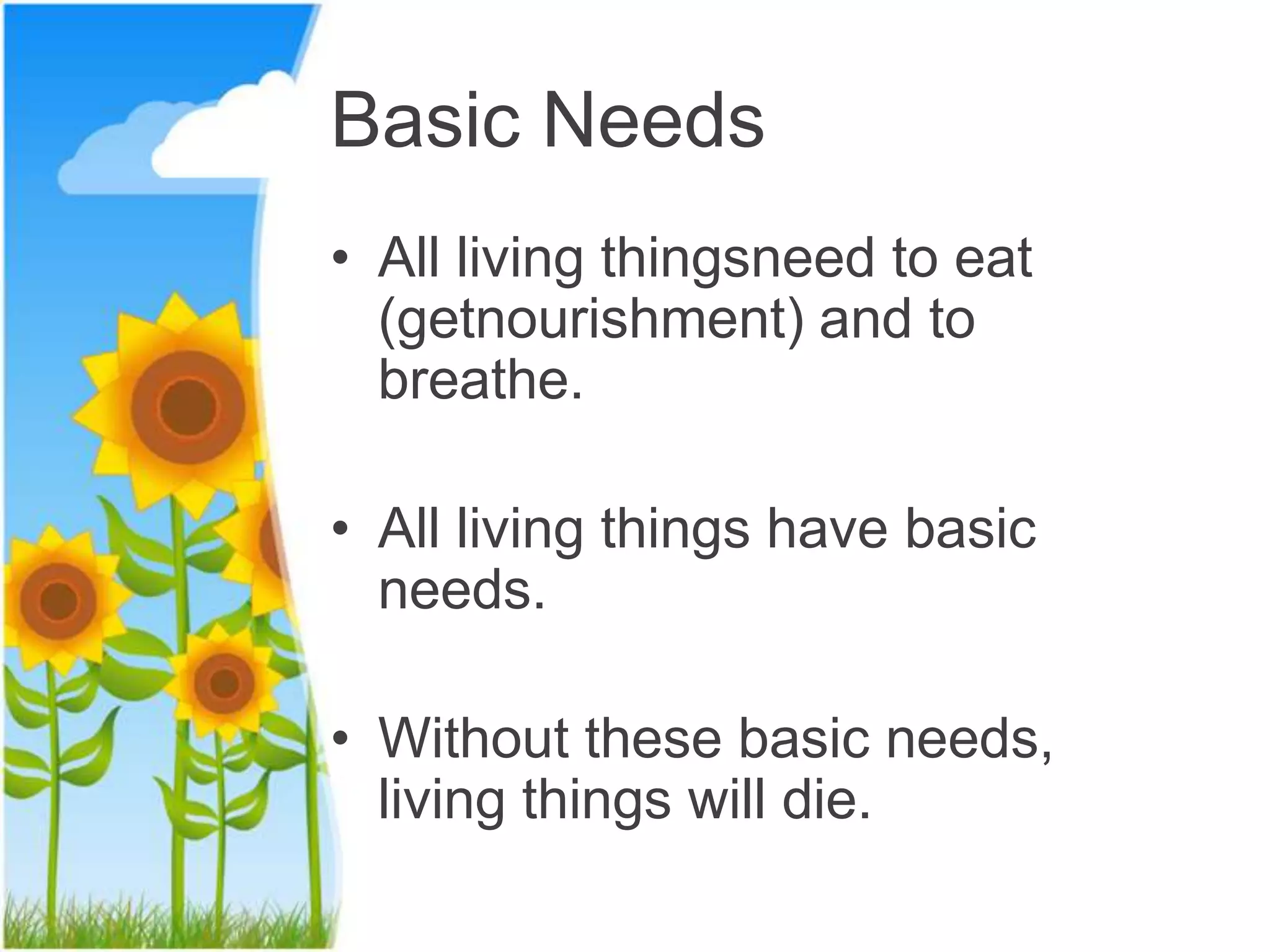Basic needs power point | PPTX